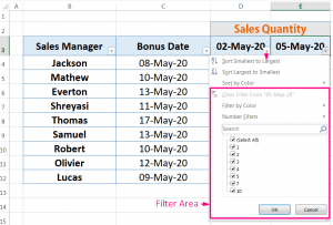 04 Simple to Advanced Methods: How to Filter in Excel?
